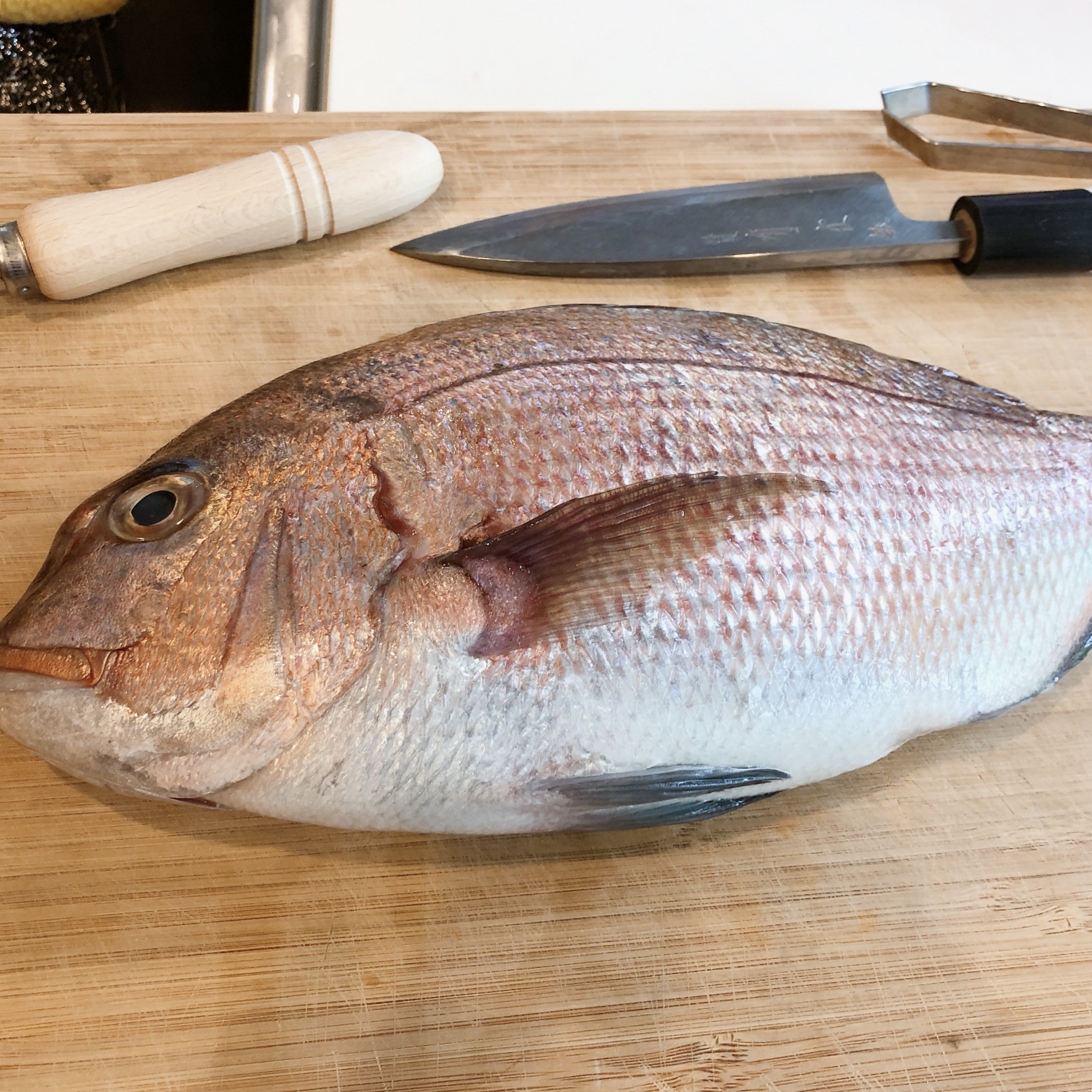 NOV. 24 in Asakusabashi - SAMURAI COOKING TOKYO 104 - SUSHI MAKING IN TOKYO